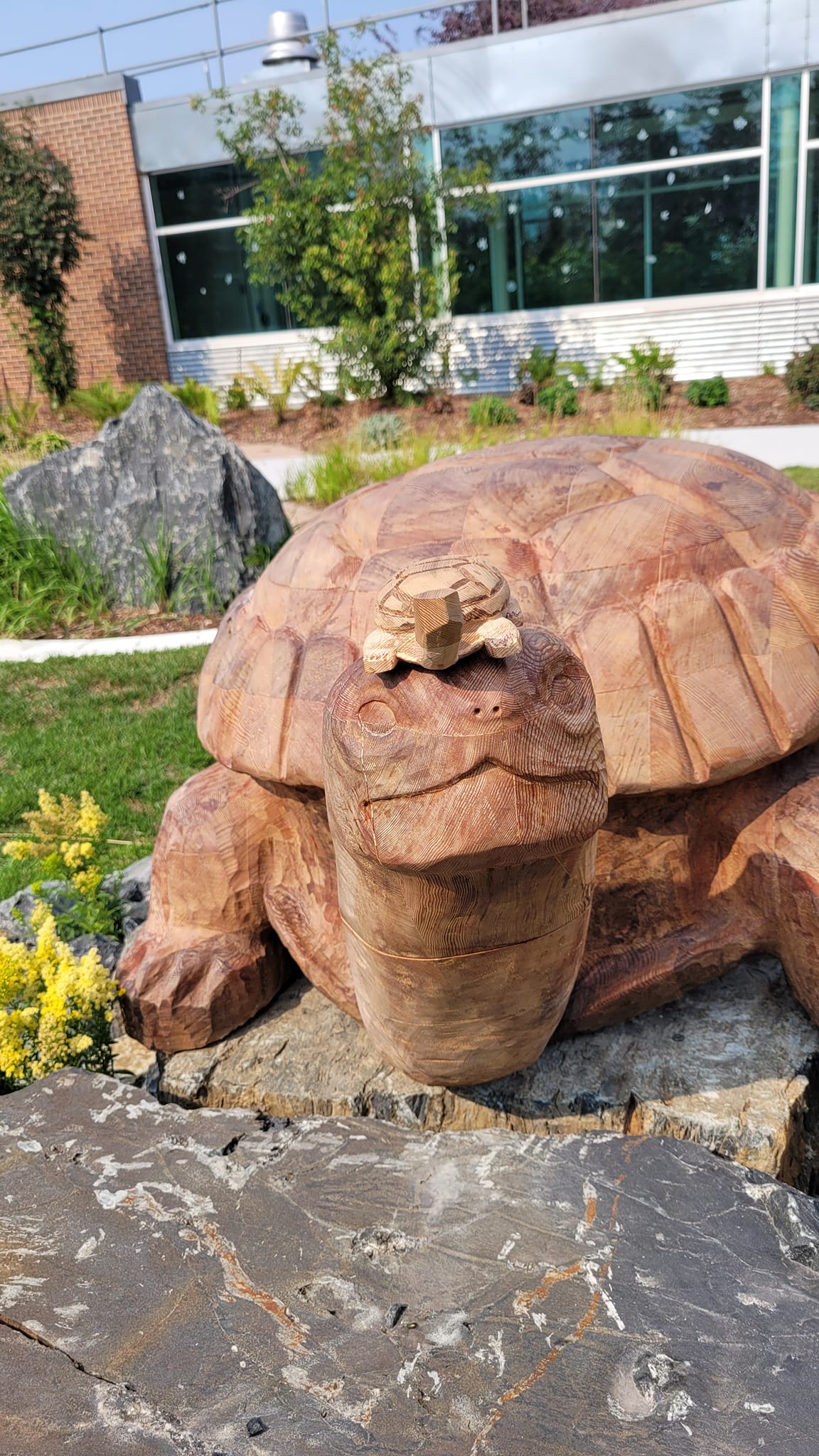 Turtle Project – Indigenous Carvings By Peter