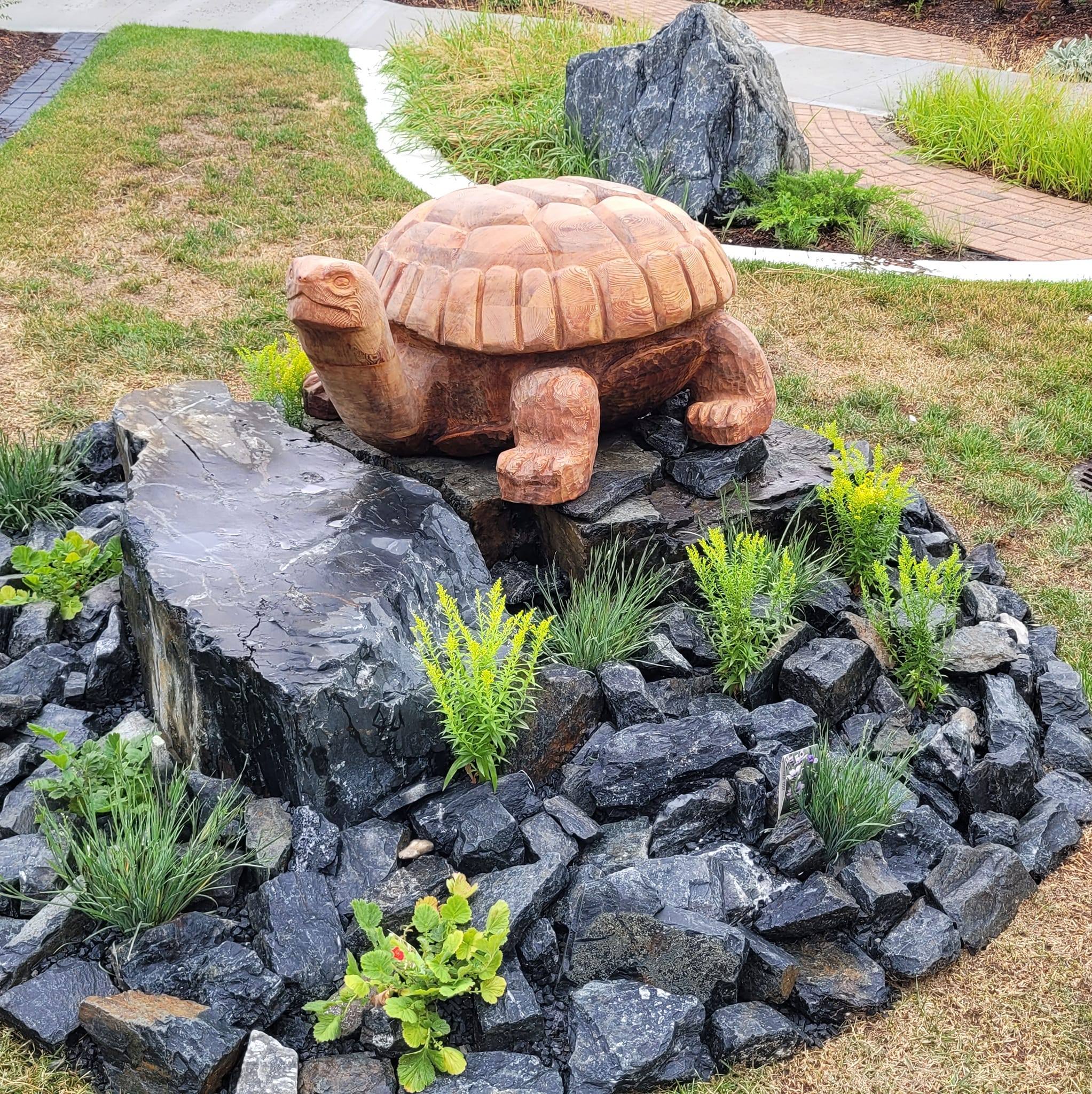 Turtle Project – Indigenous Carvings By Peter